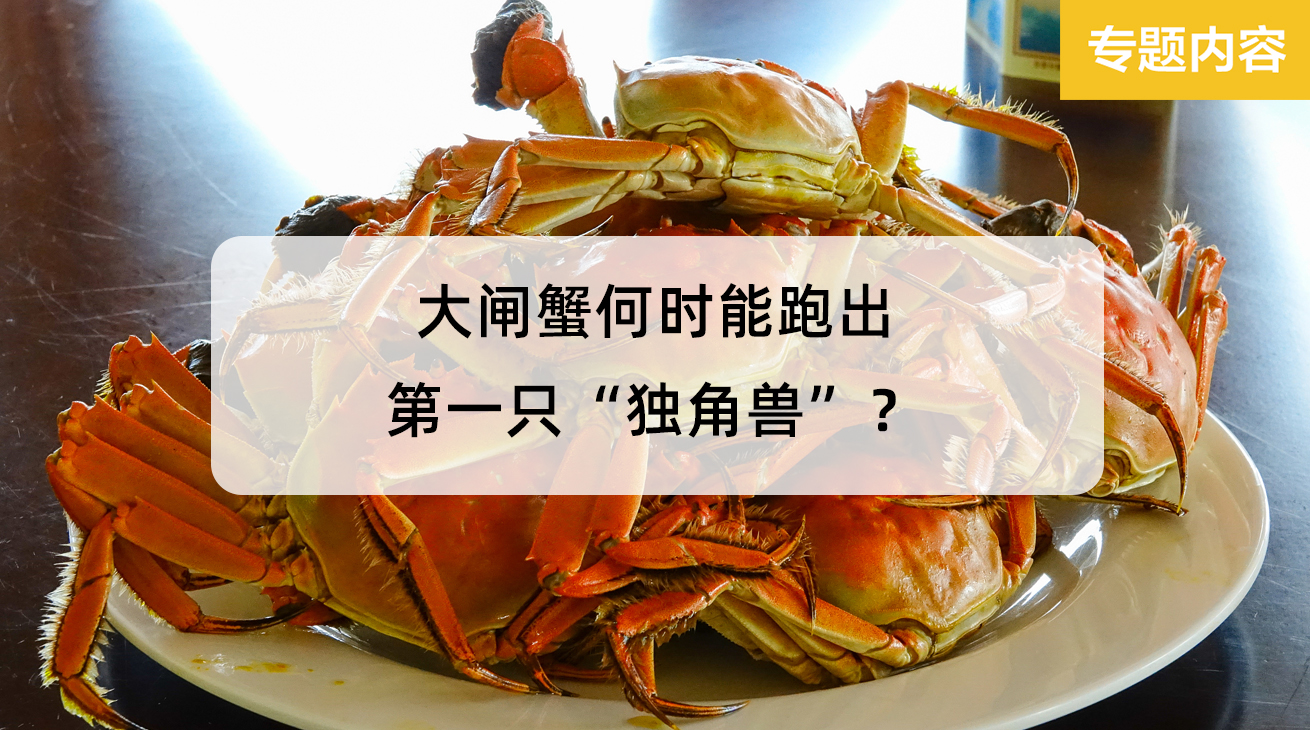 做品牌并不只是卖爆款，终须建立起起专属的品牌资产 | CBNData